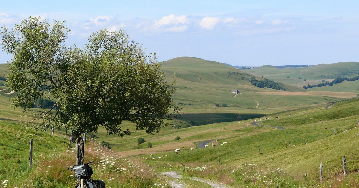 Bicyclette de sécurité ? - Vélotextes